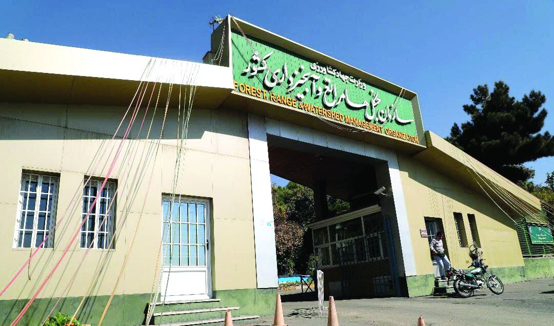 ارتقا یا تنزل - پایگاه تحلیلی خبری مرور | Moroor