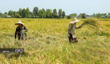عکس - پایگاه تحلیلی خبری مرور | Moroor