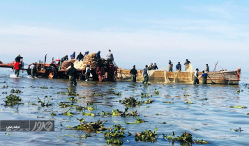 عکس - پایگاه تحلیلی خبری مرور | Moroor